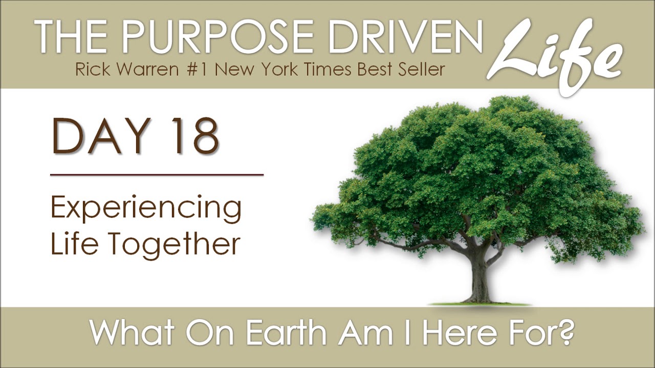 Purpose Driven Life | Day 18