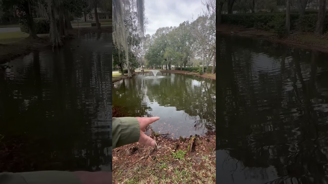 Understanding small pond management