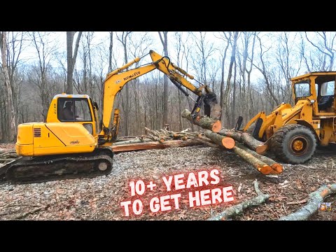 Building my DREAM WORKSHOP Pt.1 Clearing the Site!