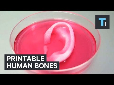 Printable human bones
