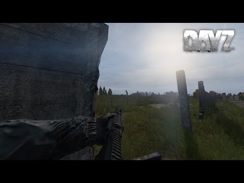 Steam Community :: Video :: An INSANE DayZ life