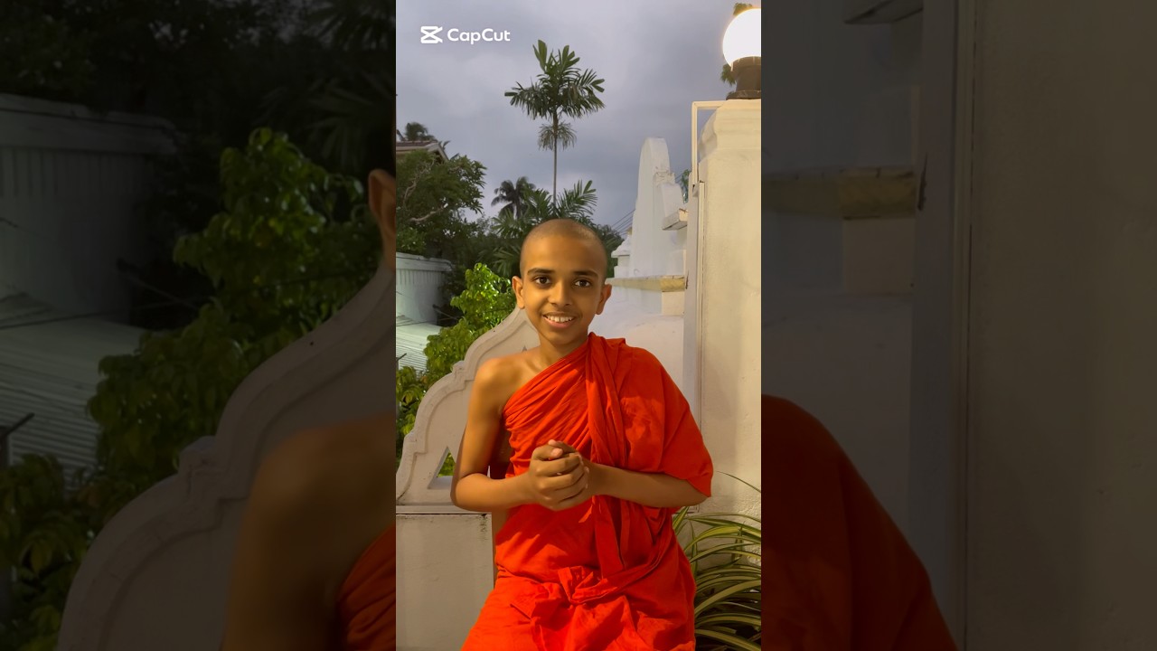 The English lesson in thissamaharamaye sumana dhamma thero #dhamma #english #bodhisattva #sangha