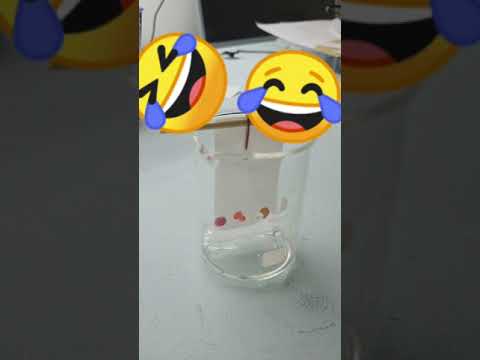 Paper Chromatography for Kids