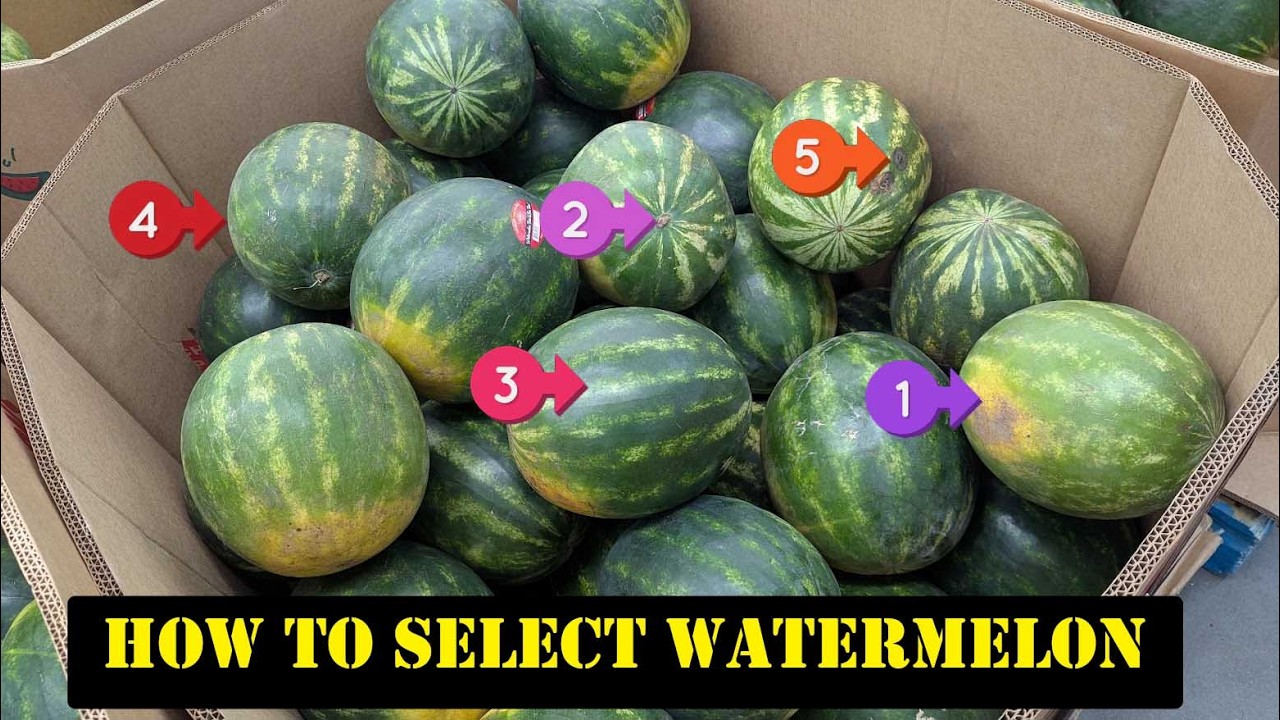 5 Must-Know Tips to Pick a Sweet, Juicy Watermelon!