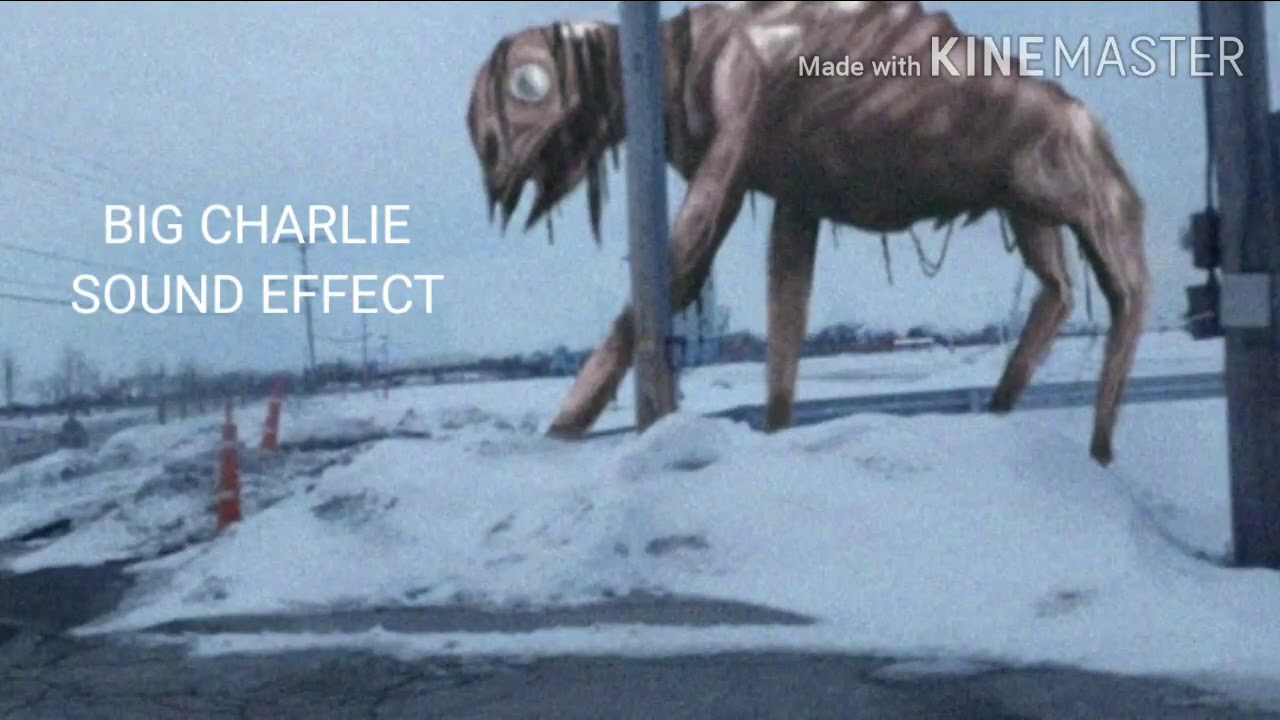 BIG CHARLIE SOUND EFFECT