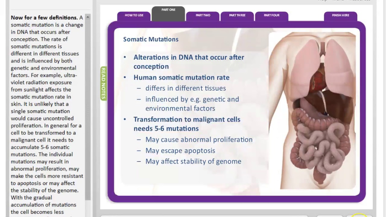 elearning examples overview