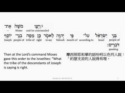 Numbers 36: Hebrew interlinear audio Bible 希伯來文聖經:民數記第三十六章