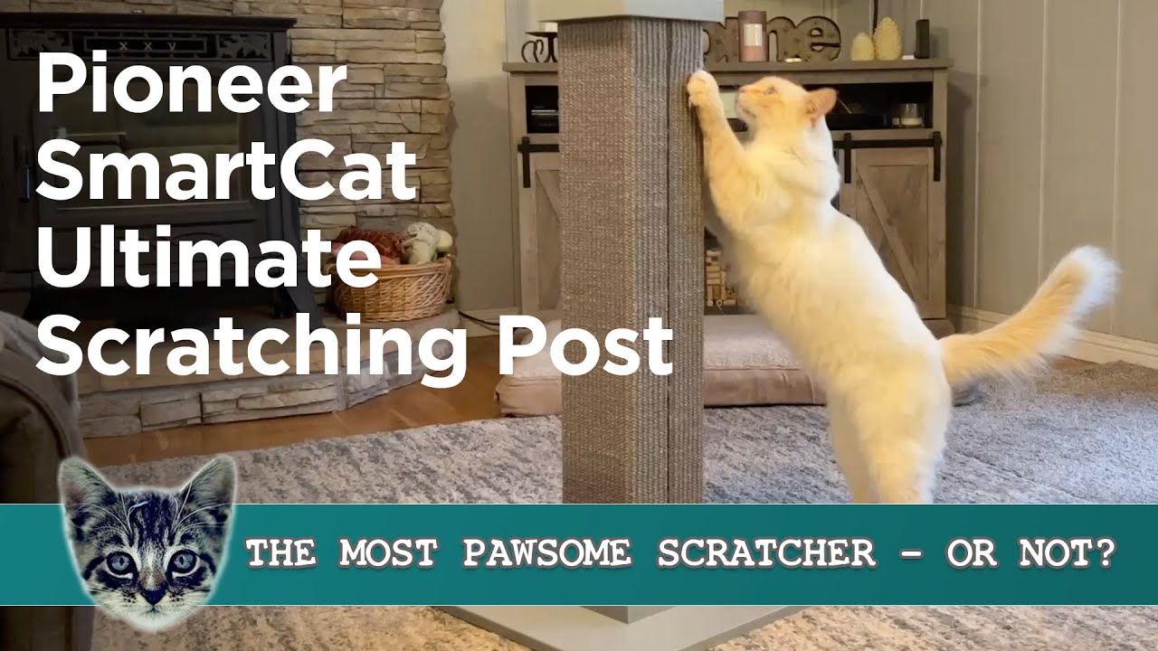 Smart Cat Ultimate Scratching Post - Is It The Ultimate? (We Tested It!)