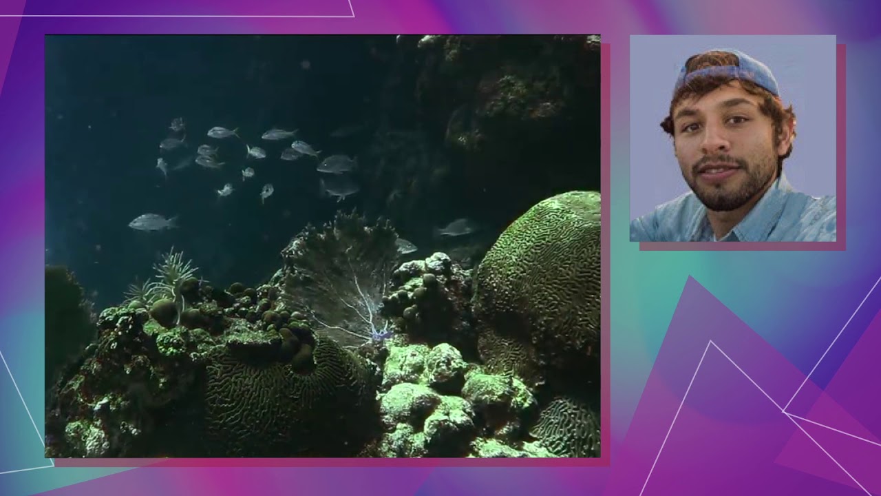 Universidad Autónoma Metropolitana (UAM) : Rankings, Fees & Courses ...