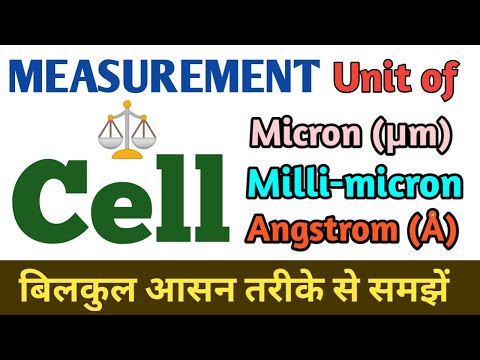 MEASUREMENT UNITS OF CELL | MICRON ( μm ) | MILLI-MICRON ( mμ ) | ANGSTROM (Å)