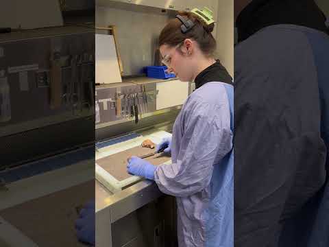 A Day in the Life of a Pathologists' Assistant