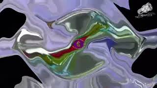 The Green Ducky Logo Effects Watch HD Mp4 Video Download Free