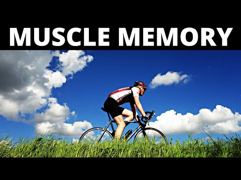 What Is Muscle Memory ?