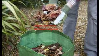 Brûler les feuilles mortes au jardin : l'amende que vous risquez