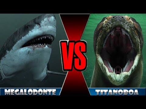 Titanoboa Vs Megalodon