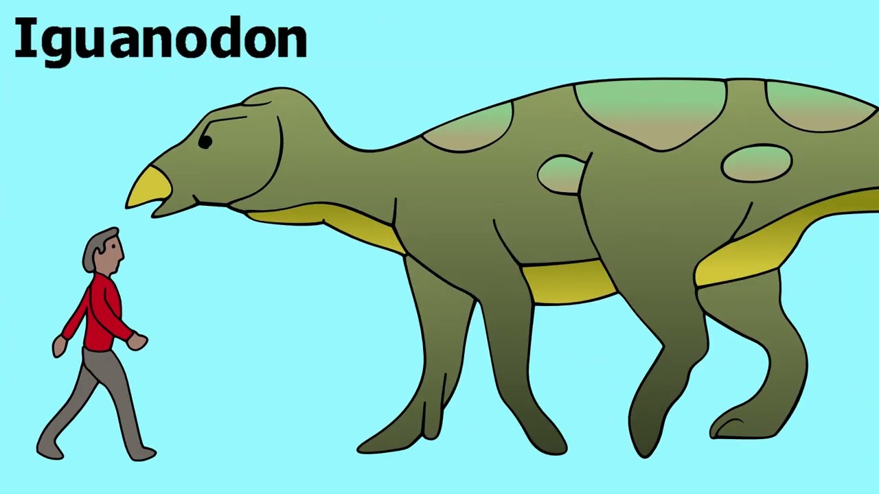Dinosaur Size Comparison 2 #Ankylosaurus #Ceratosaurus #Carnotaurus and more