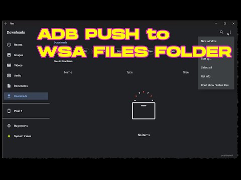 ADB push transfer to Windows Subsystem