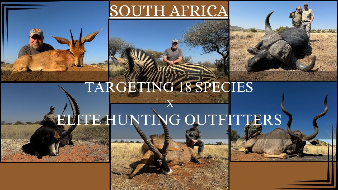 Hunting 18 Species in a week | South Africa | Elite Hunting Outfitters