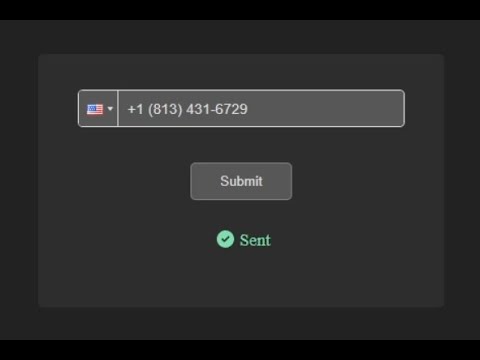 Phone Input with Telephone number verification API call in Next.js/React