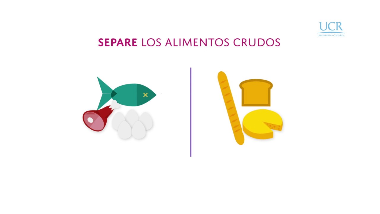 Ciencia en Todo: recomendaciones manipulación de alimentos