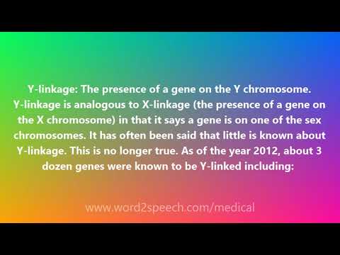 Y-linkage - Medical Meaning and Pronunciation