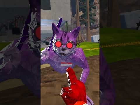com oculus vrshell 20250427 201243 0