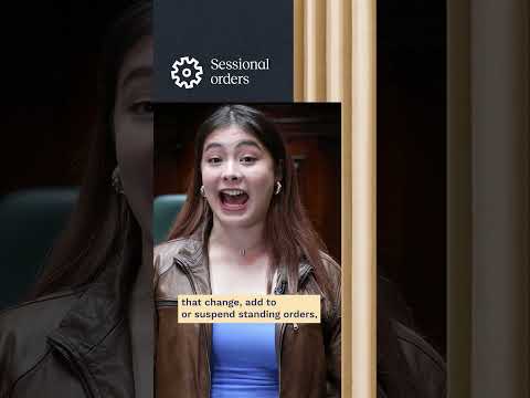 Parliament's rules explained in under a minute