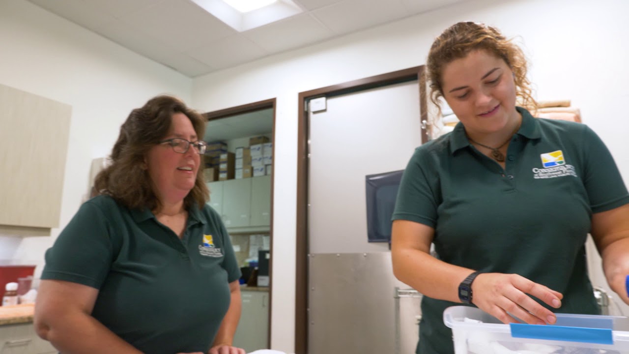 Conservancy interns going places