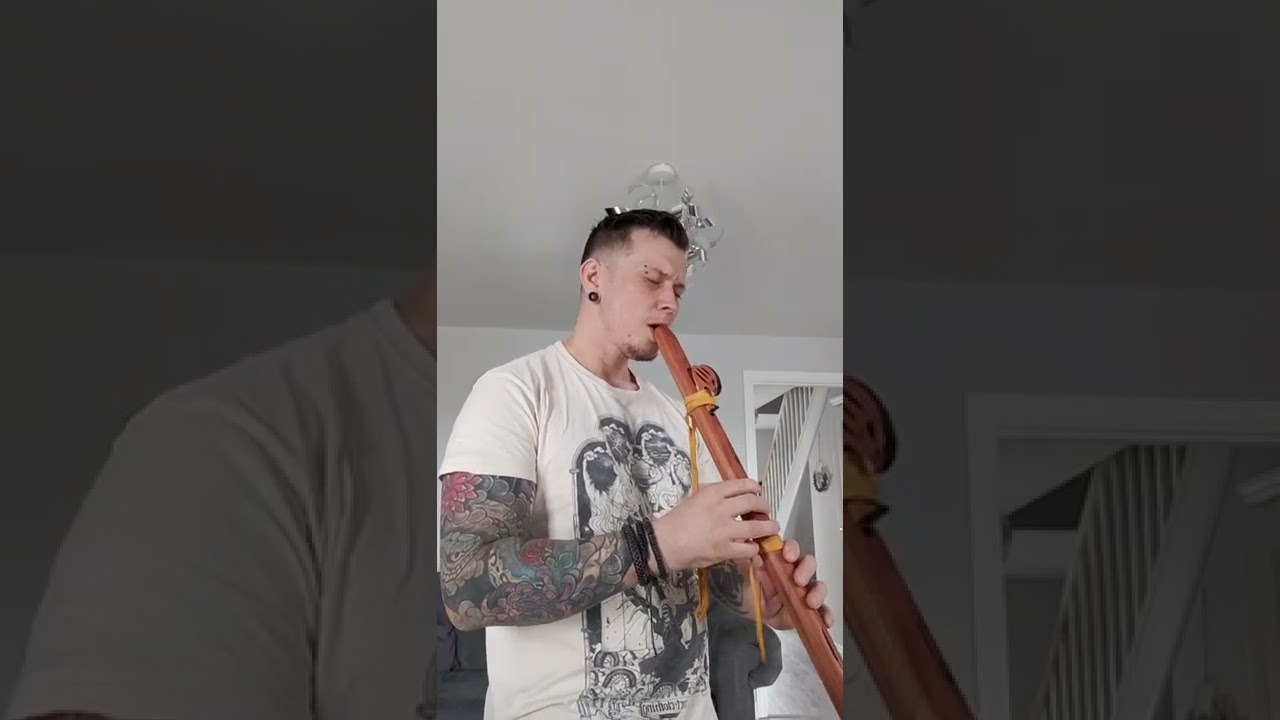 Star Wars The Force Theme #nativeamericanflute