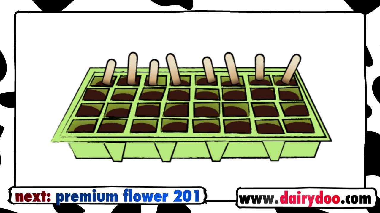Seed Starter 101