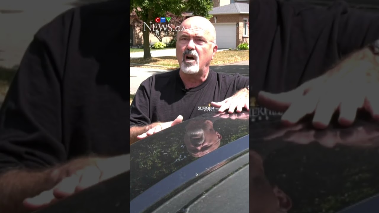 Vehicle history report fails to catch rolled back odometer