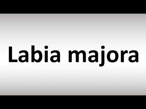 How to Pronounce Labia majora