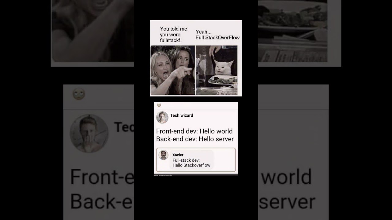 Full stack developers prints hello full stackoverflow for testing | Funny full stack developer meme