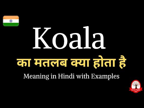 Koala meaning in Hindi | Koala ka kya matlab hota hai | english to hindi
