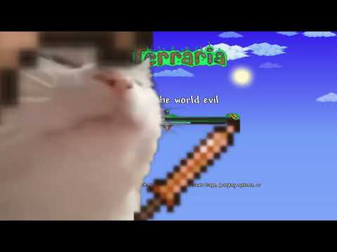 Steam Community :: Video :: Vibin Cat loads up Terraria