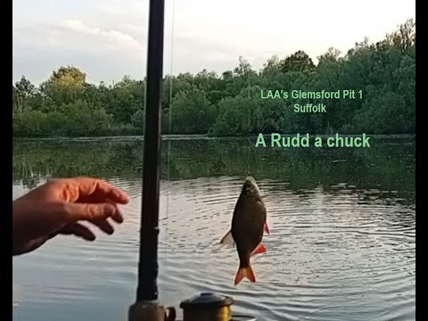 Glemsford Pit 1 a return | No-Limits Angling Blog