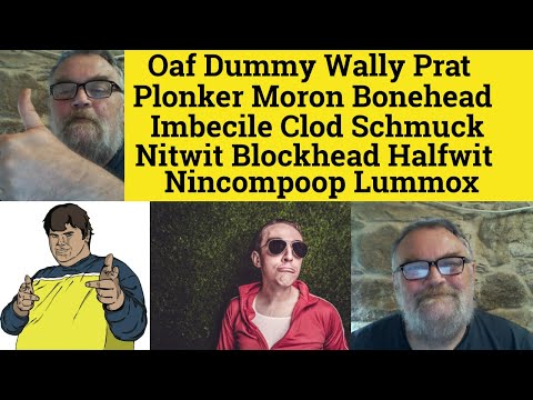🔵Vivid Nouns Idiot - Oaf Dummy Wally Prat Plonker Moron Imbecile Clod Nitwit Halfwit Lummox- Meaning