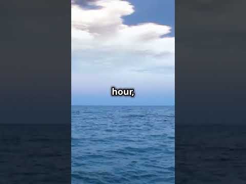 Mind-Blowing Facts About Tsunamis 🌊