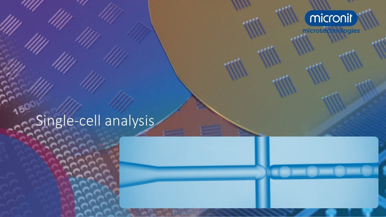 Single cell analysis