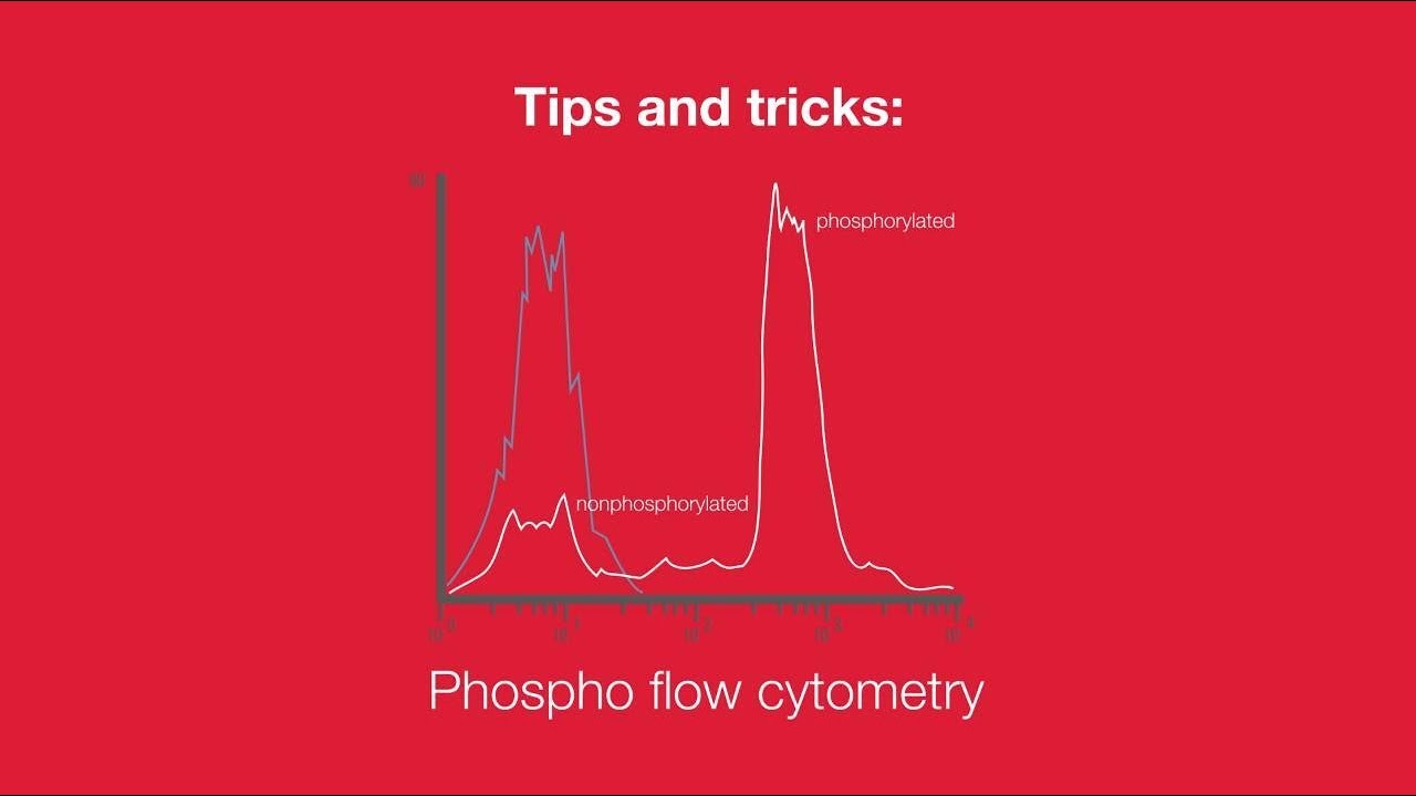 Tips and tricks: Phospho Flow Cytometry