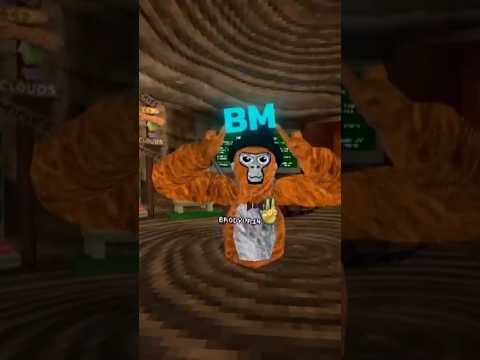 Join my fan code hope you can read it #gorillatagquest #fancode