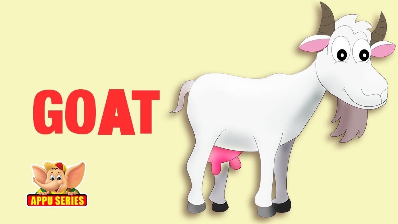 Animal Facts - Goat