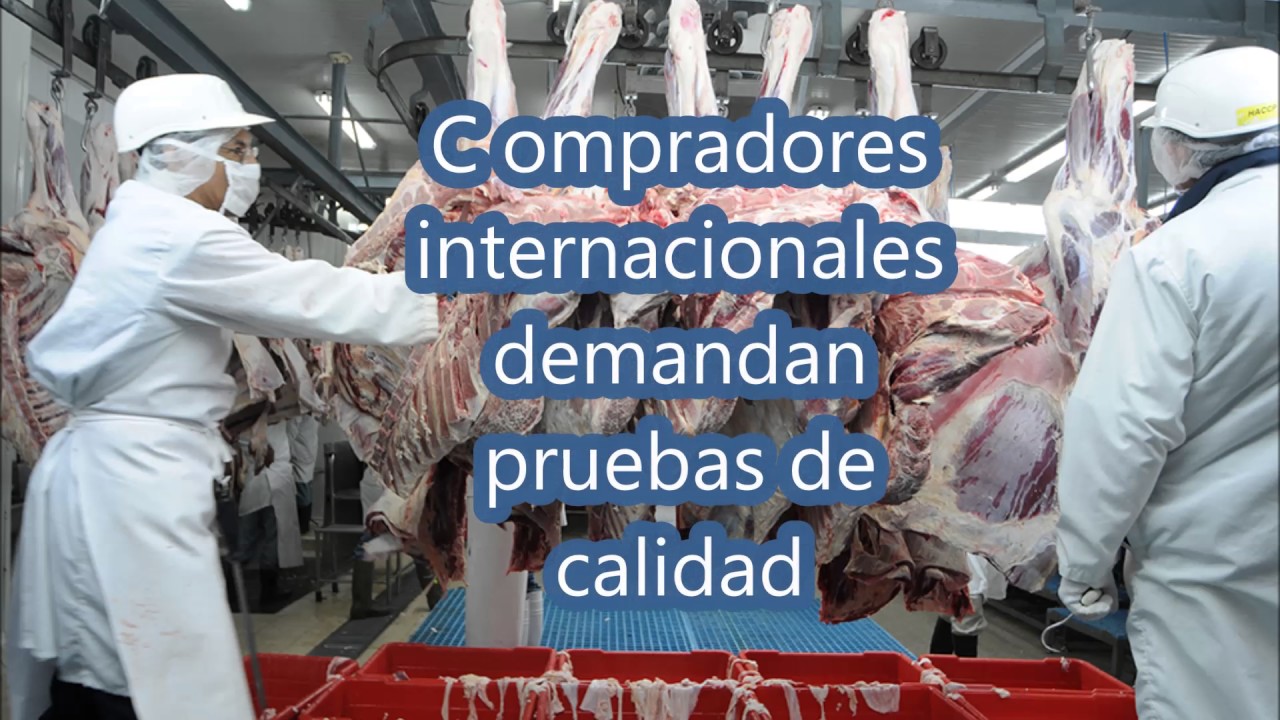 7 claves para exportar