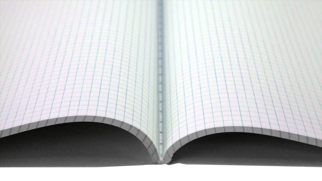 77591   Black Lab Book Roaring Spring