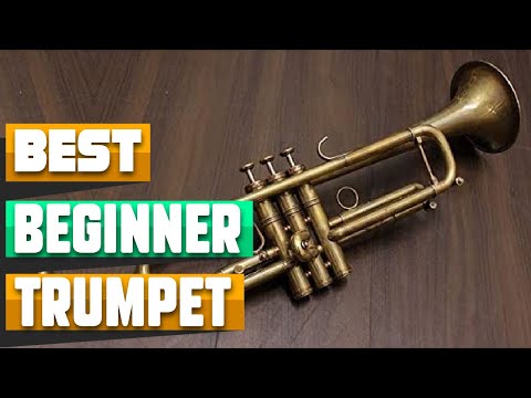 Sinclair Bb Trumpet STR-2500 w Case and Mouthpiece 2020s USA | Reverb