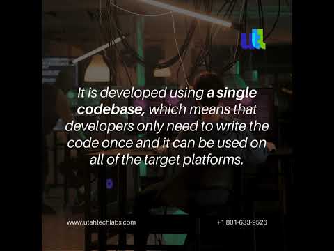 Harnessing the Power of Cross-Platform Software for Business Success | Utah Tech Labs