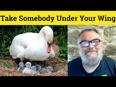 🔵 Take Under One's Wing Meaning - Under My Wing Defined - Take Somebody Under Your Wing Definition