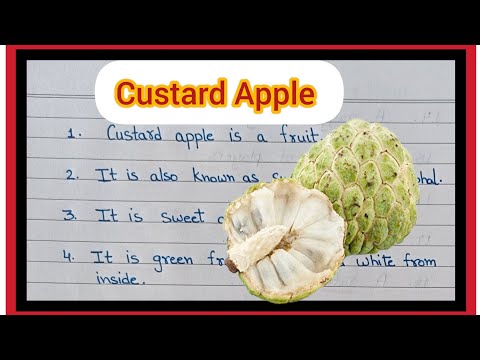 10 Lines on Custard Apple in English||My Favourite Fruit Custard Apple||Custard Apple 10 Lines Essay