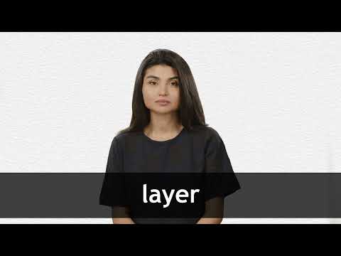 LAYER definition and meaning | Collins English Dictionary LAYER definition and meaning | Collins English Dictionary