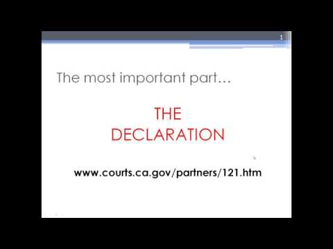 DASH DV Declaration